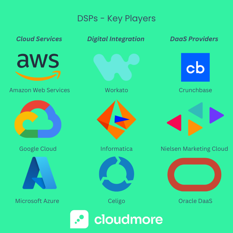 Digital Services Provider (DSP) - Definition and Examples