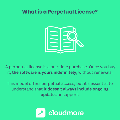 Perpetual License vs Subscription Model: Key Differences and Examples