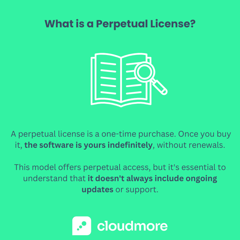 Perpetual License vs Subscription Model: Key Differences and Examples