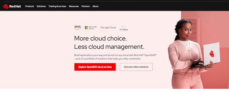 What is an Independent Software Vendor? With ISV Examples