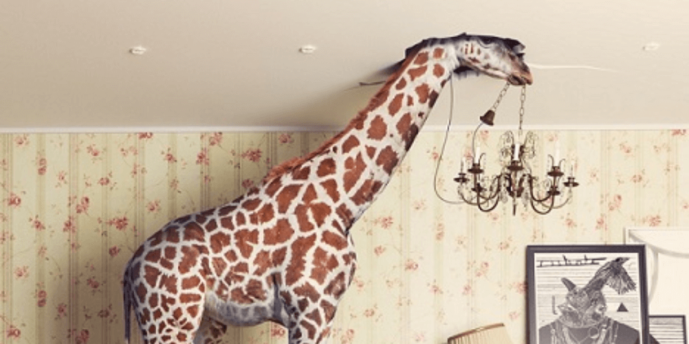 MSP vs CSP: Key Differences, Similarities, and Examples of Both